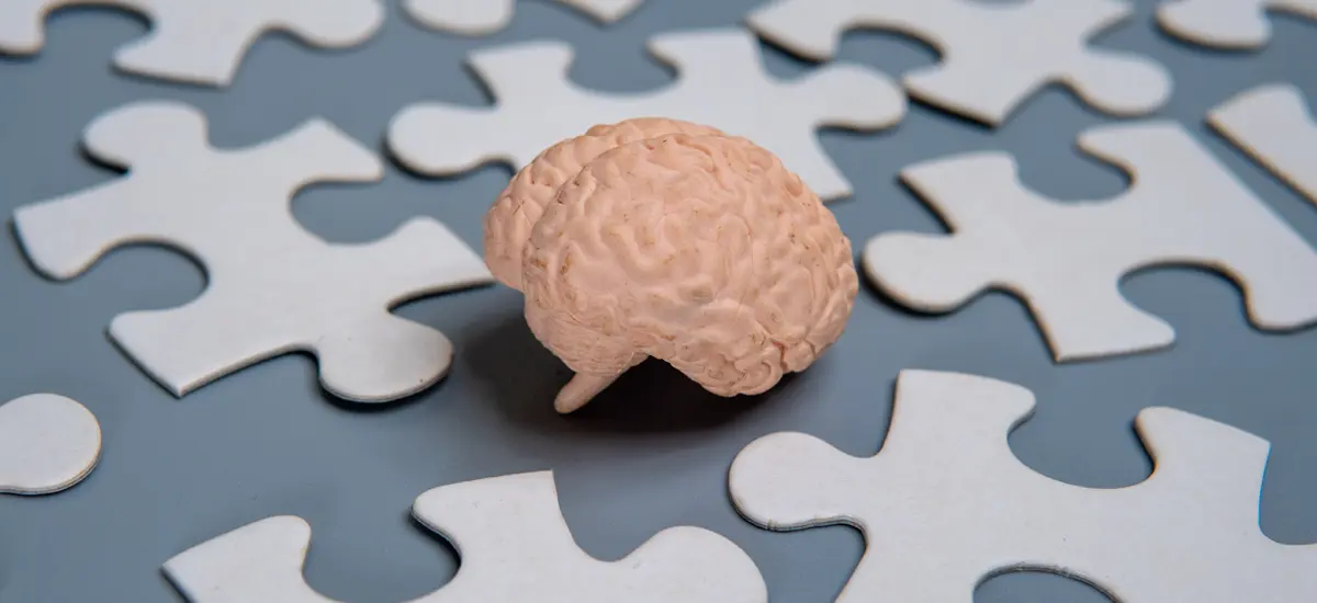 Medhya Rasayana: Ayurveda For Cognitive Health + Natural Nootropics ...