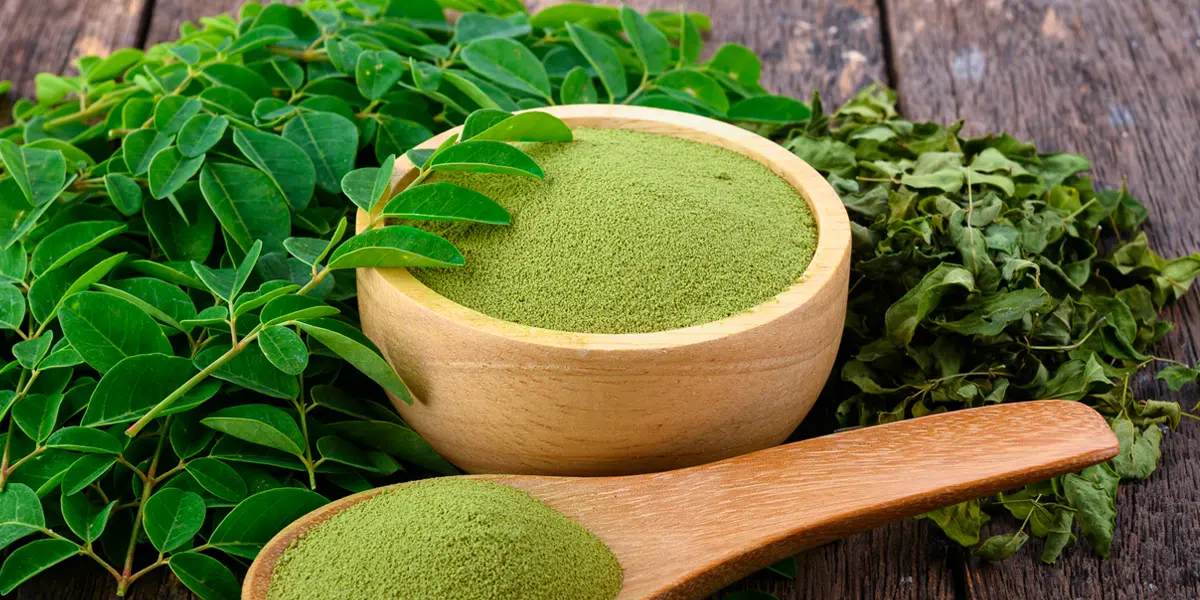 Discover The Miraculous Benefits of Moringa: Ayurvedic Insights - The ...