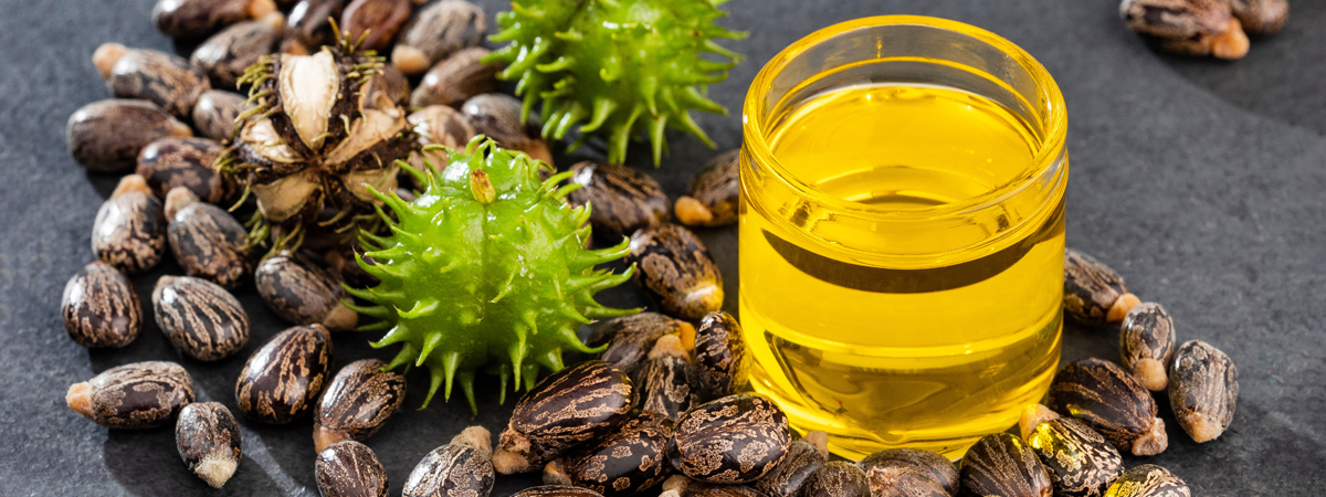 Castor: The Ayurvedic Herb for Detox, Pain Relief, and Vitality